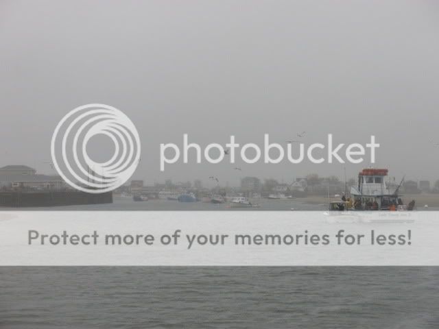 Eastman's Cod / Pollack / Haddock Jig a Thon | 360 Tuna Fishers Forum