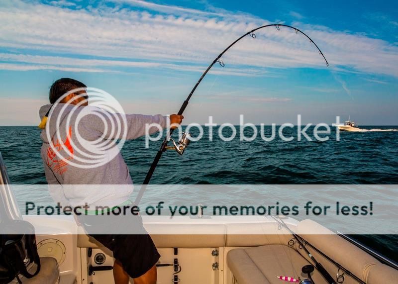 Best selection of Temple Reef rods in stock now!! | 360 Tuna Fishers Forum